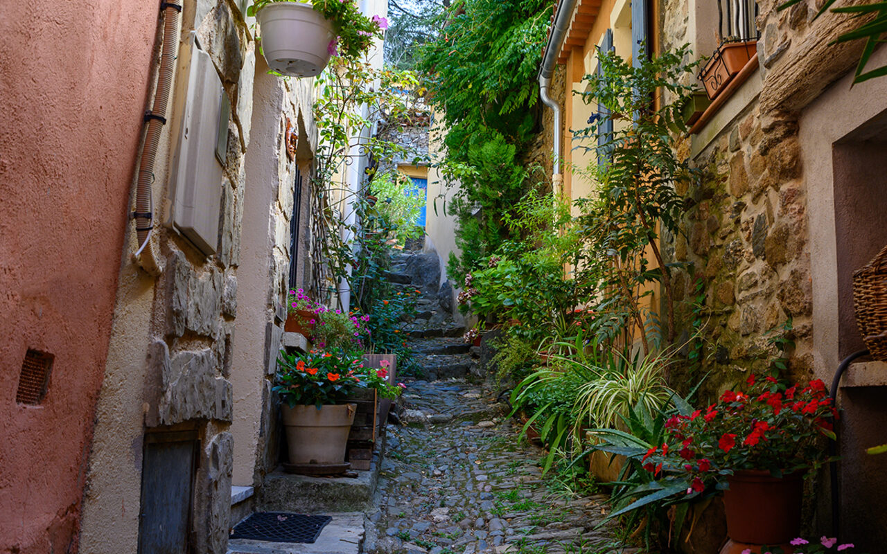 Collobrières, la capitale des Maures - Story - CAUE Var