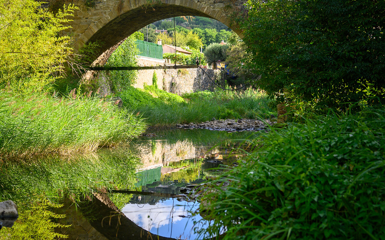 Collobrières, la capitale des Maures - Story - CAUE Var