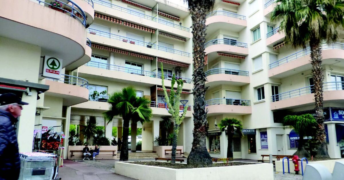 Réalisation d’une palette chromatique et d’une charte pour la création ...